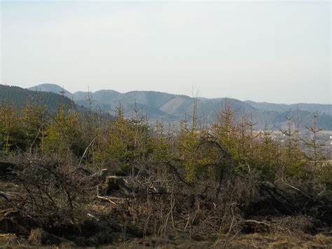 Zdj Cie Czarnoch Mapa Turystyczna Pl