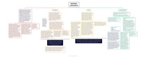 Il Sistema Linfatico Schemi E Mappe Concettuali Di Anatomia Docsity