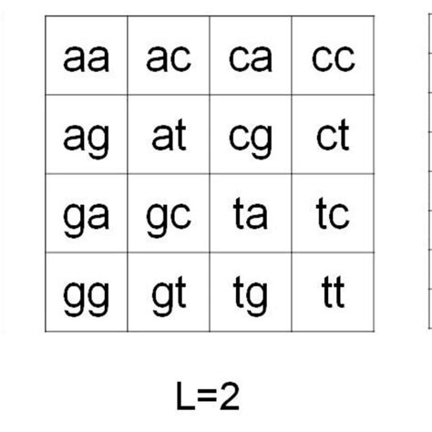 chaos game representation method cgr organization in matrices 2 l x2 l