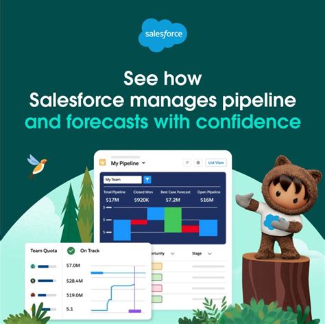 salesforce on linkedin how salesforce manages pipe and forecasts with