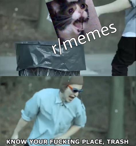 N O R M I E S Know Your Fucking Place Trash Know Your Meme