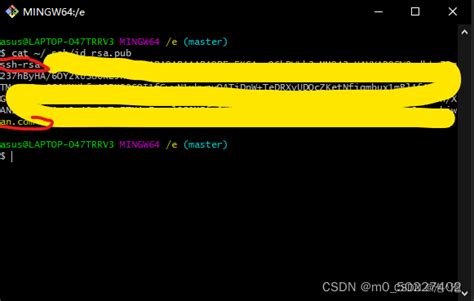 Git生成公钥及查看公钥git 生成公钥 Csdn博客