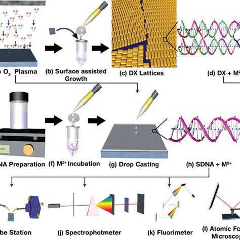 Schematics For The Experimental Procedure And Physical Measurements Of