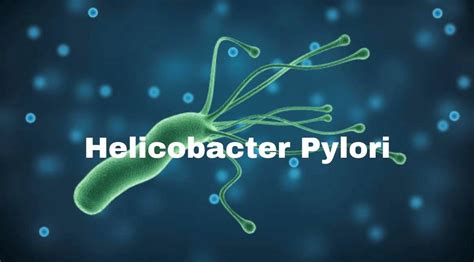 Stomach Ulcer And Bad Breath This Infamous Mouth Bacteria Can Explain