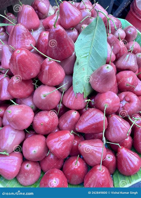 Rose Apple Gulab Jamun White Red And Mixed Color Variety Wax Apple