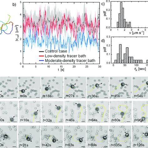 A Representative X−y Trajectories Of Active Jps In A Moderate Density