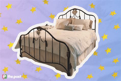 We Explain Just What Happened Bindi Irwin News Indaily Inside South Australia