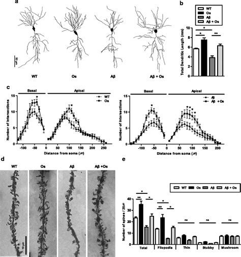 Osmotins Effects On Dendritic Complexity And Spine Density In Ad A Download Scientific