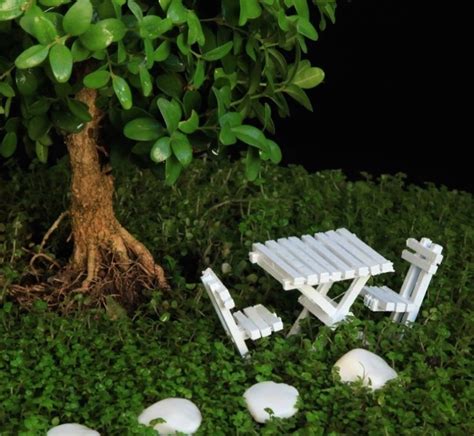 Jardins De Bonsai Em Miniatura Bonsai Empire