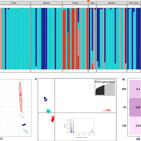 Rad Seq Based Population Structure Of Porites Cf Lobata A Structure