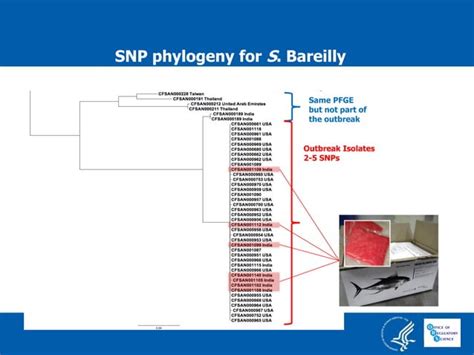 Applications Of Whole Genome Sequencing Wgs Technology On Food Safety