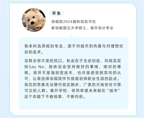 深圳市城市规划设计研究院有限公司校园招聘 2025深圳市城市规划设计研究院股份有限公司招聘信息 海投网
