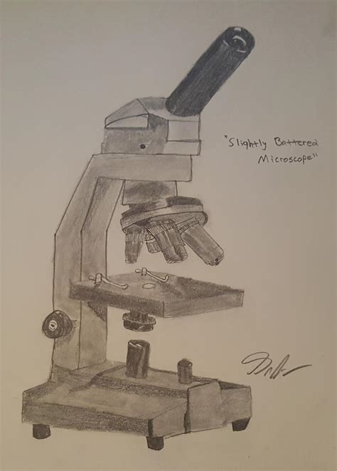 Microscope Drawing Sketching And Value Practice Rlearnart