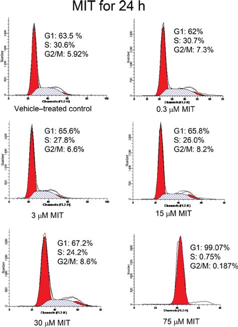 E Ff Ects Of MIT On The Cell Cycle Distribution Of SH SY5Y Cells Cells
