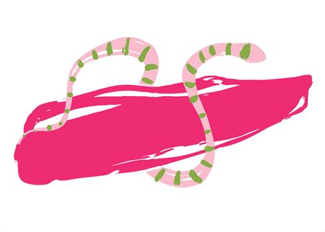 Template With Snake And Place For Text Illustration For Any Design