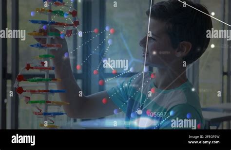 3d Dna Model Stock Videos And Footage Hd And 4k Video Clips Alamy