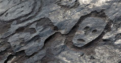 아마존 가뭄에 강물 마르자 인간 얼굴 묘사 조각 드러나