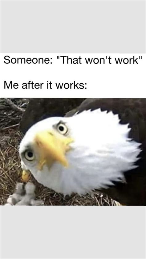 Relatable Really Funny Memes Really Funny Joke Very Funny Pictures