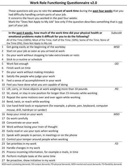 The Work Role Functioning Questionnaire V20 Showed Consistent Factor