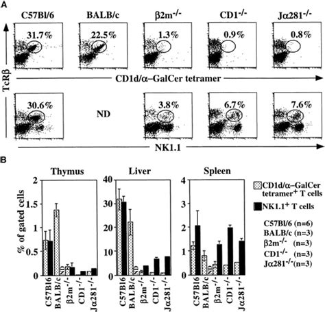 Tetramer Binding Is Dependent Upon Cd1d And Jα281 Expression A Download Scientific Diagram