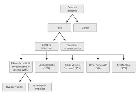 Acute Ischemic Stroke General Approach Neupsy Key