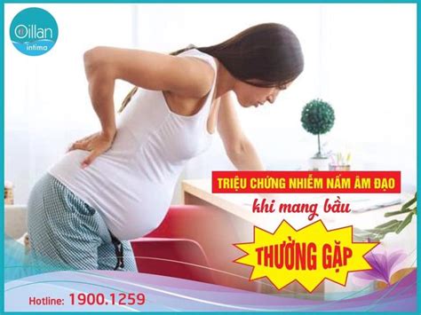 Triệu Chứng Nhiễm Nấm âm đạo Khi Mang Bầu Thường Gặp Nấm Gây Viêm Nhiễm