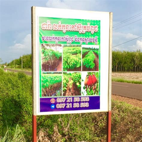 ដារ៉ា លក់កូនកៅស៊ូគ្រប់ពូជ