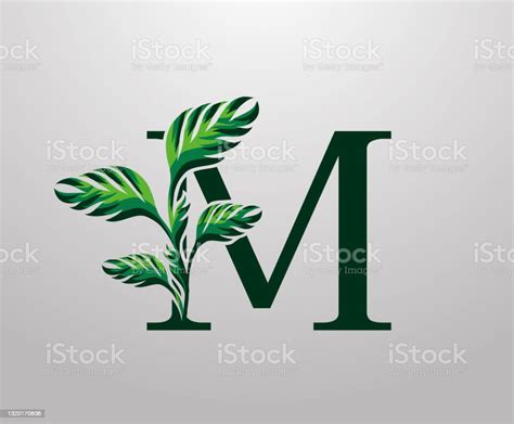 Letter M 몬스터 그린 식물 아이콘 열대 잎 장식 로고 꽃 식물에 대한 스톡 벡터 아트 및 기타 이미지 꽃 식물