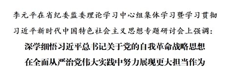 李元平：深学细悟习近平总书记关于党的自我革命战略思想 在全面从严治党伟大实践中努力展现更大担当作为中国社会主义理论