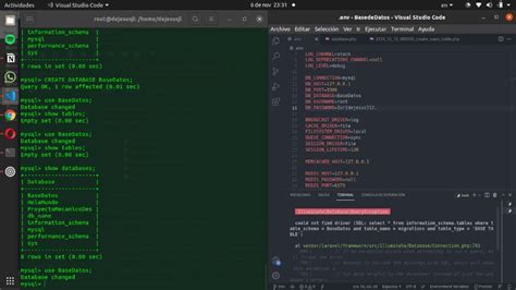 error al realizar la migración edteam