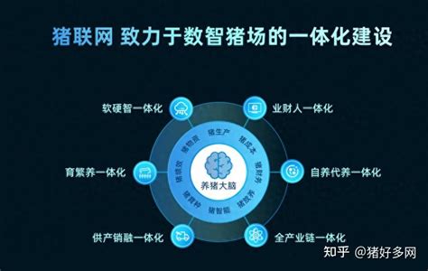上市猪企厮杀“数智化”领域！智能养猪会是出路之一吗？ 知乎