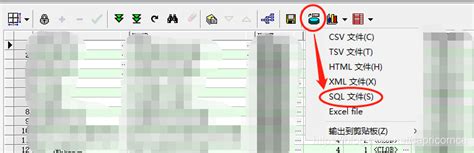 【oracle】导出大文本，含有clob大数据字段类型的sql语句，使用toad工具，toad使用教程hugeblob导出 Csdn博客