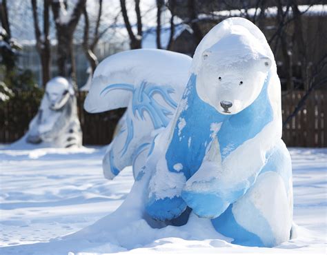 Hey Winnipeg Was November Warm Or Cold