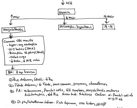 Lecture 13 Summary Sheet Diagram Quizlet