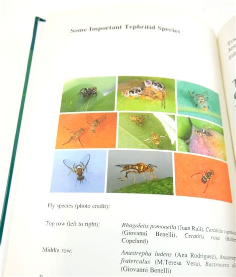 Stella And Roses Books Trapping And The Detection Control And