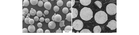 Morphology And Cross Section Microstructures Obtained By Sem Of