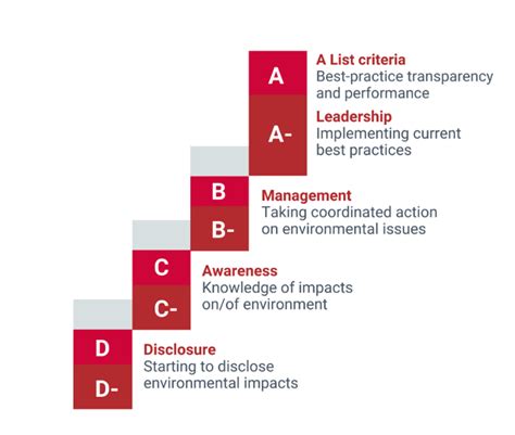 What Is The Cdp Carbon Disclosure Project Explained Carbon Trail