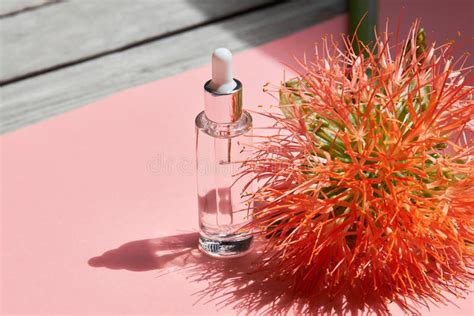 Vloeibare Gel Of Serum In Een Glazen Doorzichtig Flesje Met Druppelaar
