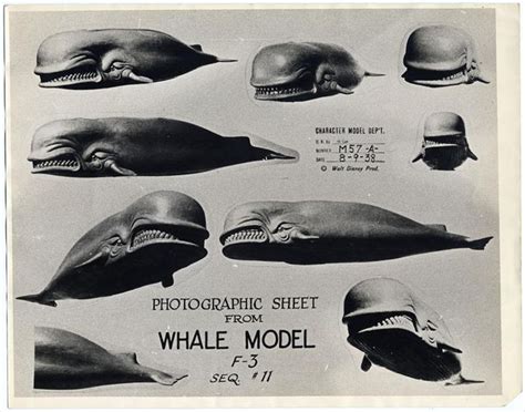 Disney Pinocchio Animation Model Sheet Of Monstro The Whale 1940 文様