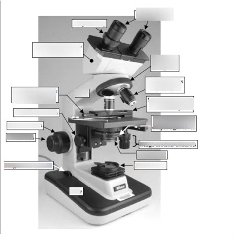 Microscope Diagram Quizlet
