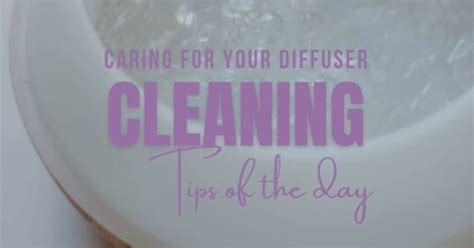 Easy Diffuser Cleaning Tips Mai Co Xplorio™ Hermanus
