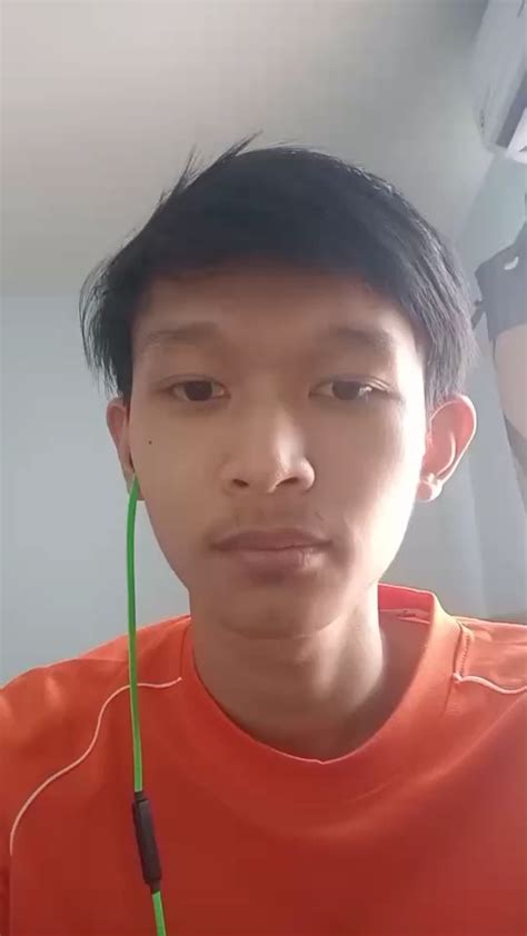 Pre Act Object Detection Dataset By Anirut