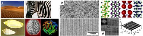 tsinghua research group femtosecond laser induced periodic self