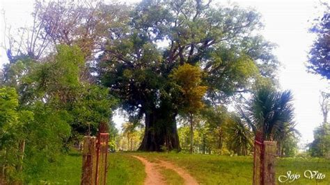 Canlaon City Guide Tourist Attractions Pension Houses