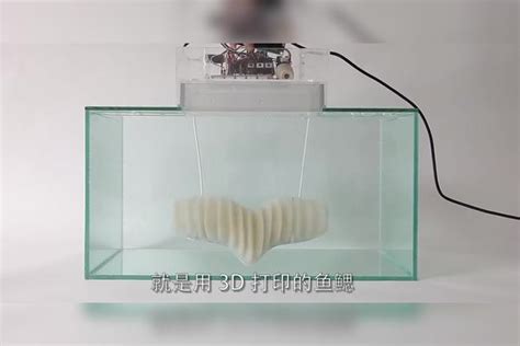 用3D打印的鱼鳃人戴上后能在水下呼吸无需再用氧气筒了