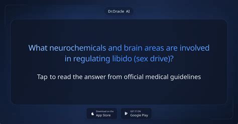 What Neurochemicals And Brain Areas Are Involved In Regulating Libido Sex Drive