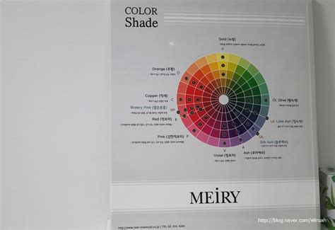 서울 강남 퍼스널컬러 진단과 성격유형검사까지 한 번에 강남 이엔소이 네이버 블로그