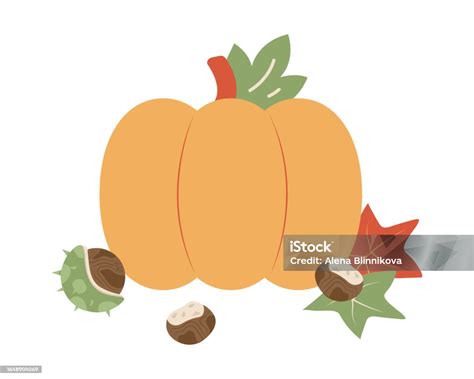 밤과 나뭇잎을 곁들인 호박 가을 따뜻한 그림입니다 야채와 견과류 농장 수확 격리된 개체입니다 색상 밤 견과에 대한 스톡 벡터