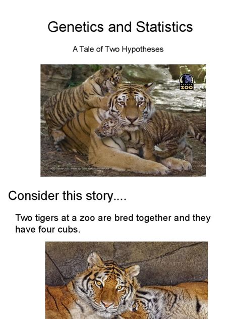 Ch 11 Genetics And Statistics Chi Square Pdf Chi Squared