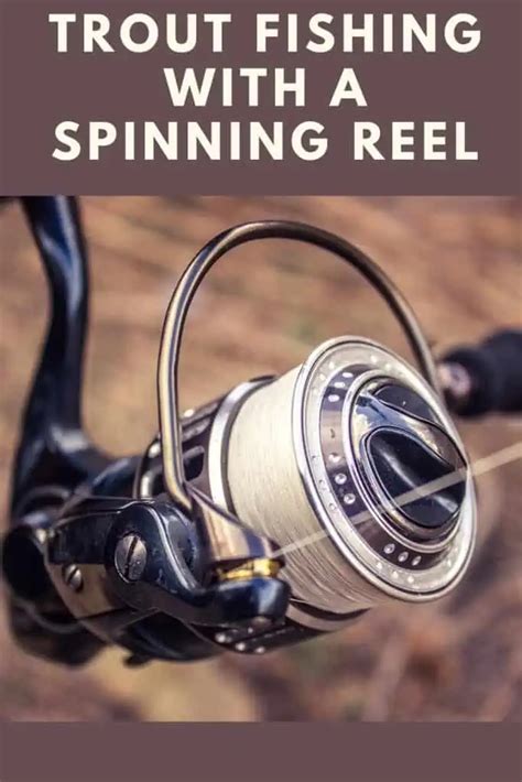 Mastering Trout Fishing With A Spinning Reel Tips And Techniques